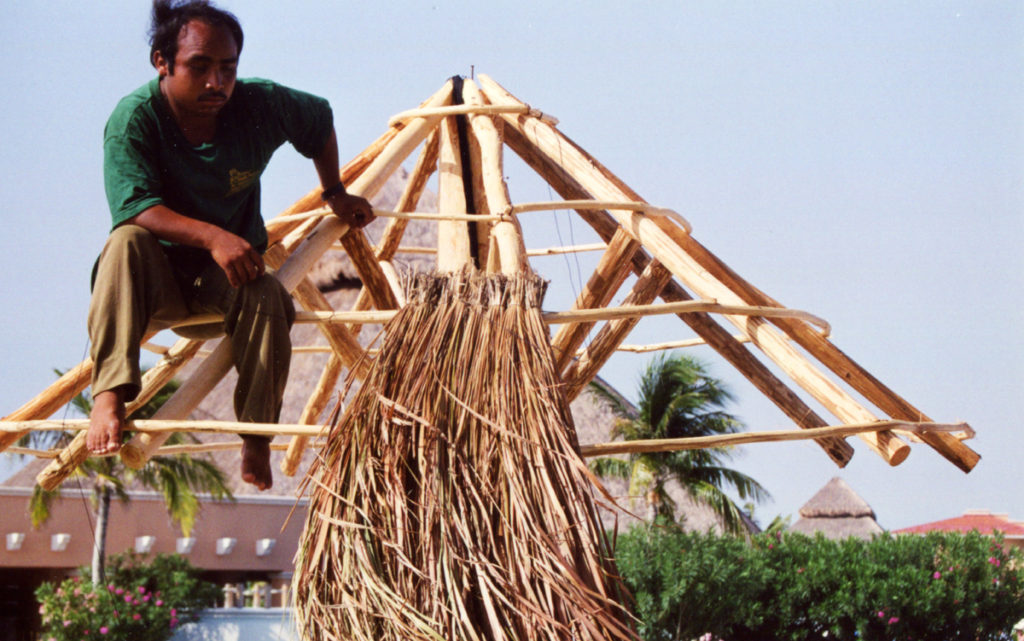 Build a Palapa – Dave McBride