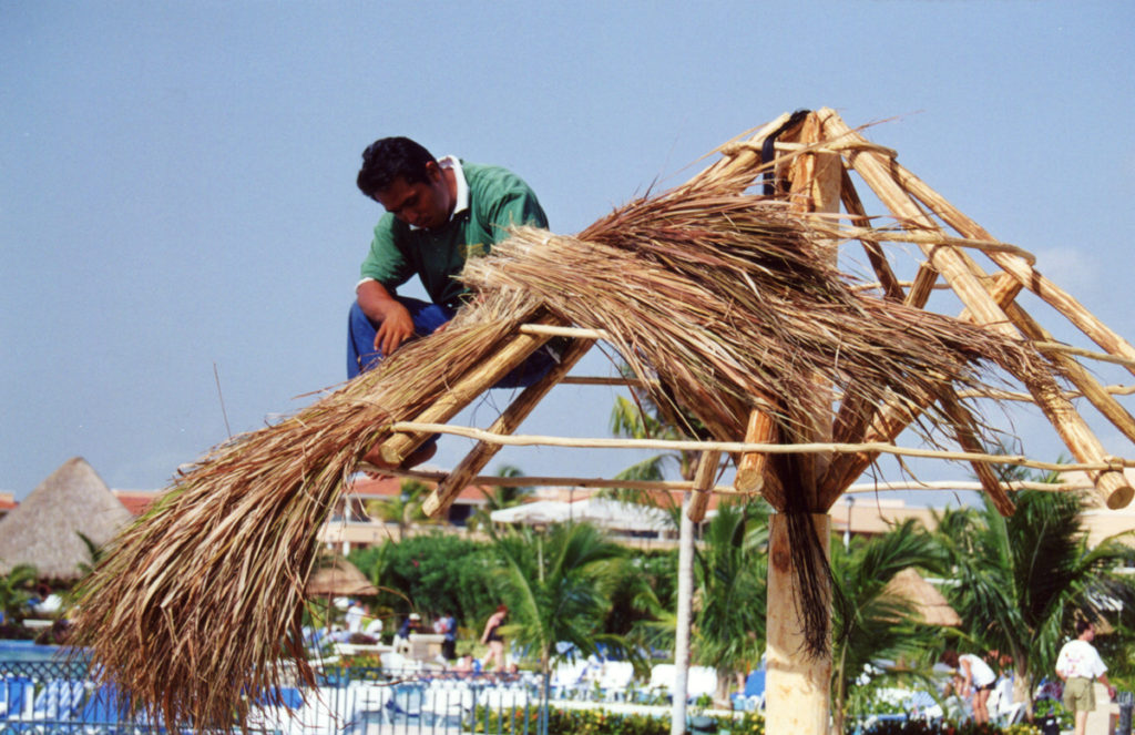 Build a Palapa – Dave McBride